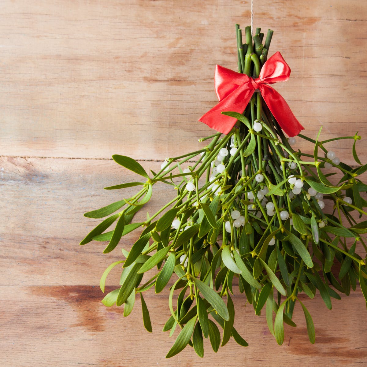 Christmas collection: What is the history behind why we kiss under ...